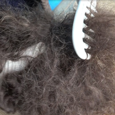 What Causes Tangled Hair on Hair Systems and How to Solve It | New ...