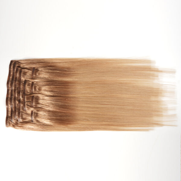 SEAMLESS CLIP-IN Hair Extensions Remy Hair Wholesale